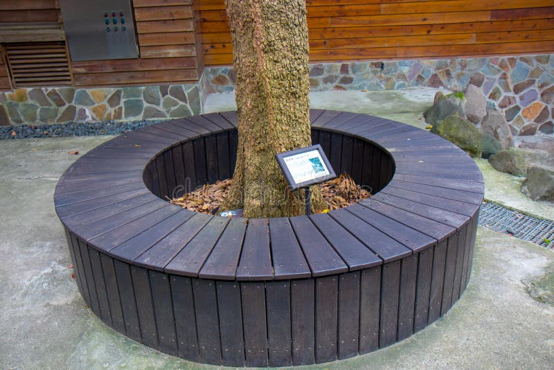 Seat under the tree stock photo. Image of wood, bench - 107937942