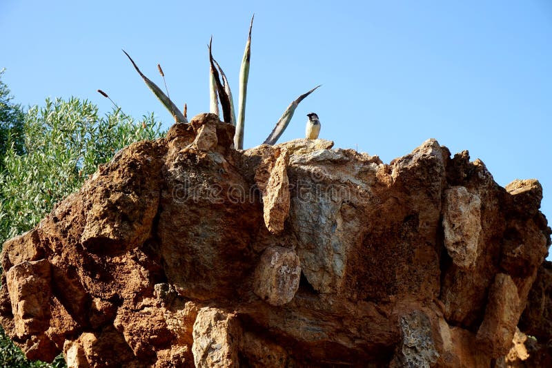 Seated on a Rock in the Park is a Bird Stock Image - Image of culture ...