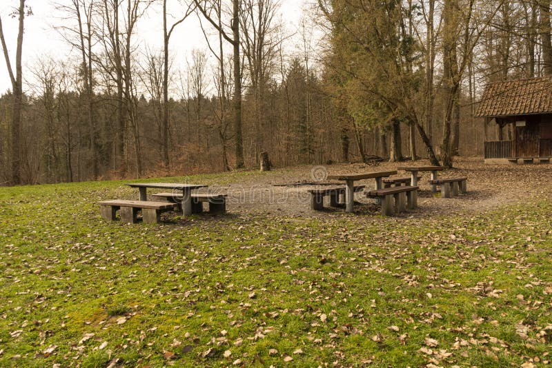 Seating area in the forest stock photo. Image of nature - 212679298
