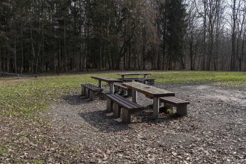 Seating area in the forest stock image. Image of picnic - 212679415