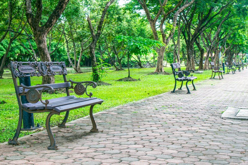Seating stock photo. Image of spring, peaceful, plant - 44862880