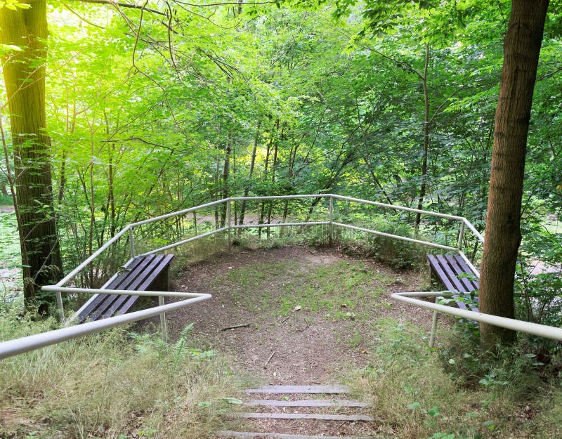 Summer Seating In A Green Forest Stock Photo - Image of pretty, seating ...