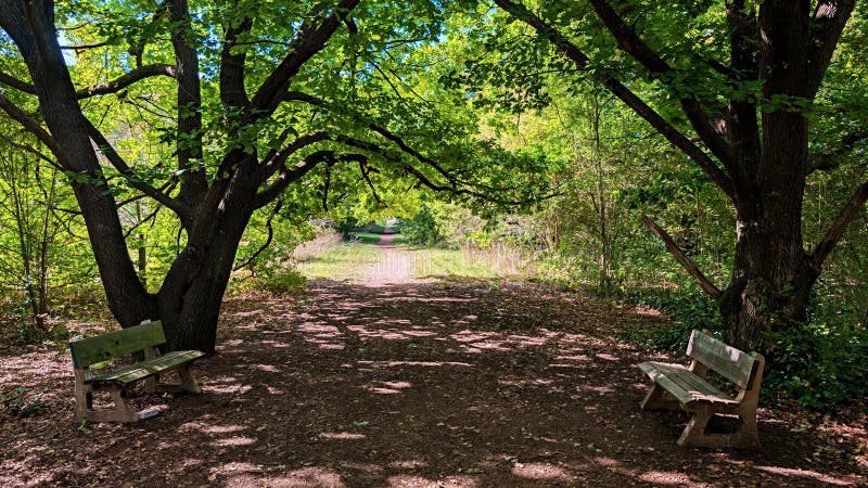 Seating Node Stock Photos - Free & Royalty-Free Stock Photos from ...