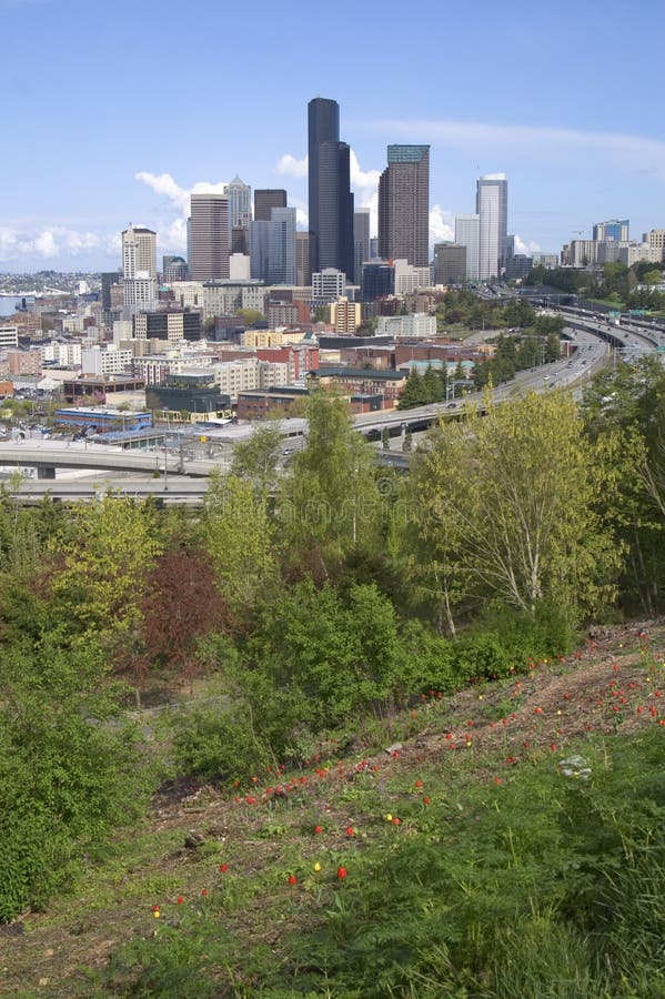 Seattle Skyline Buildings Blue Sky Daytime Stock Photo - Image of ...