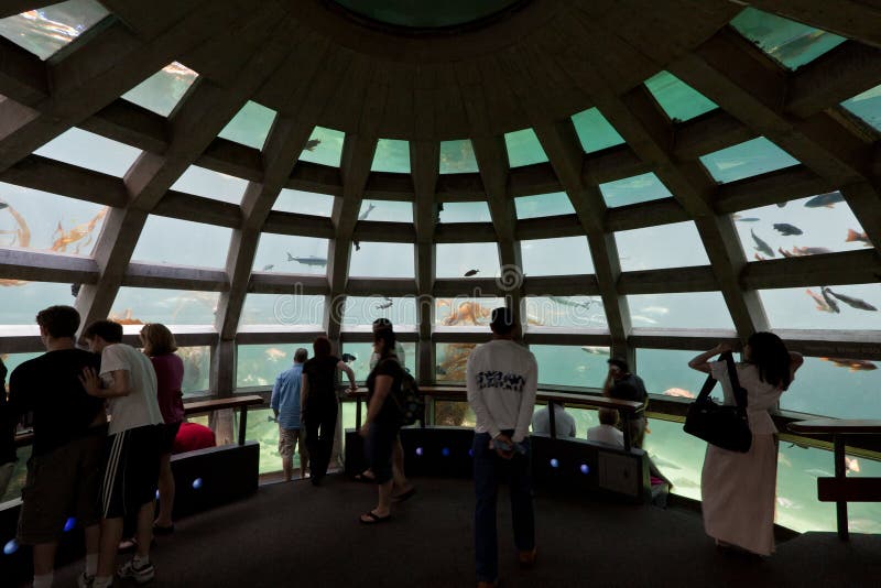 Seattle Aquarium editorial stock photo. Image of america - 18279493