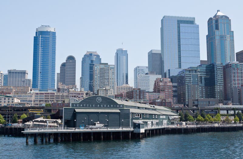 Seattle Seahawks game editorial stock image. Image of teamwork - 30748659