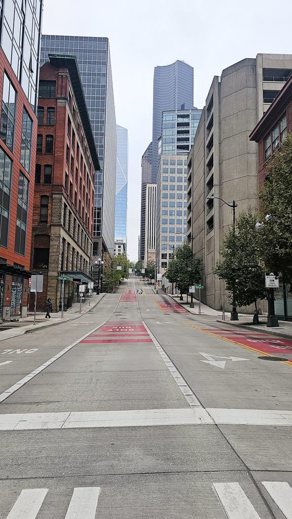 Downtown Seattle Buildings stock photo. Image of archietecture - 332045254