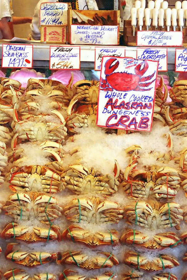 Taco Ebll Sound Stock Photos - Free & Royalty-Free Stock Photos from ...