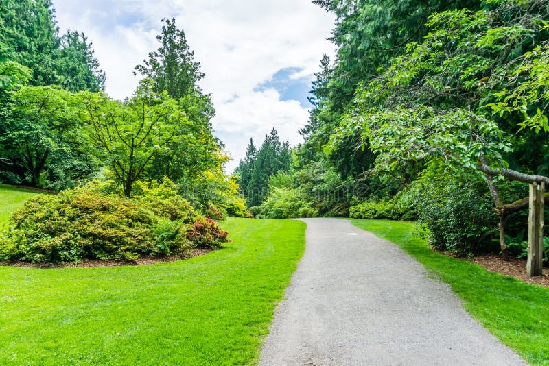 Seattle Garden Trail 2 stock photo. Image of lush, bushes - 224114540