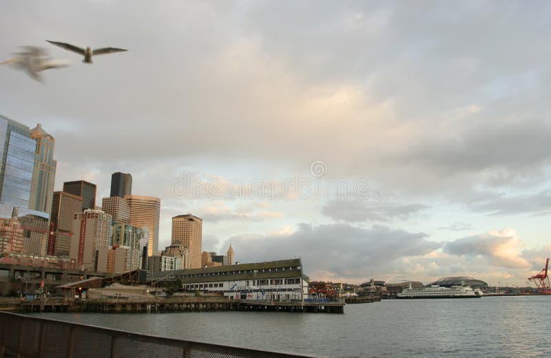 Seattle Harbor at Sunset with Blurred Seagulls Stock Image - Image of ...
