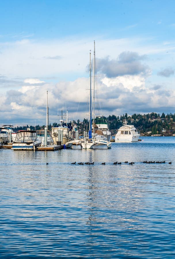 Seattle Lake Marina 3 stock image. Image of outdoors - 306935987