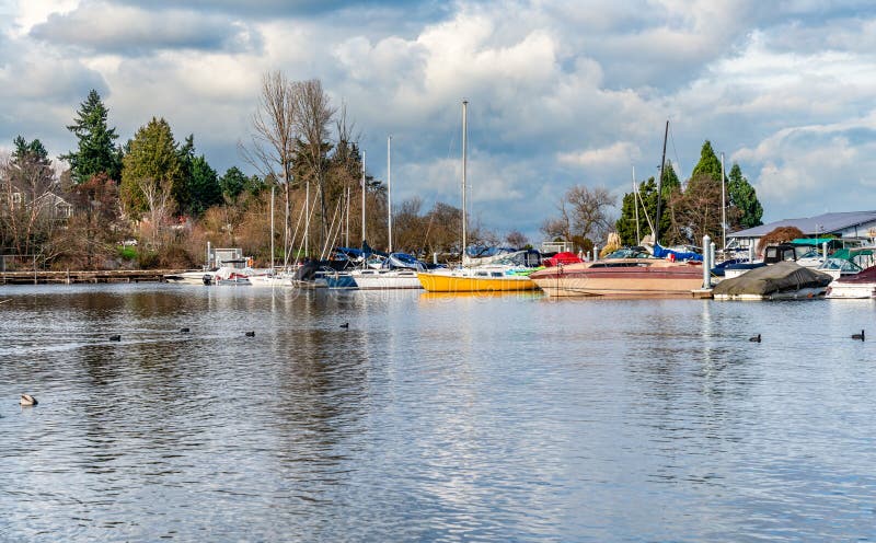 Seattle Lake Marina 5 stock image. Image of marina, nature - 307287131