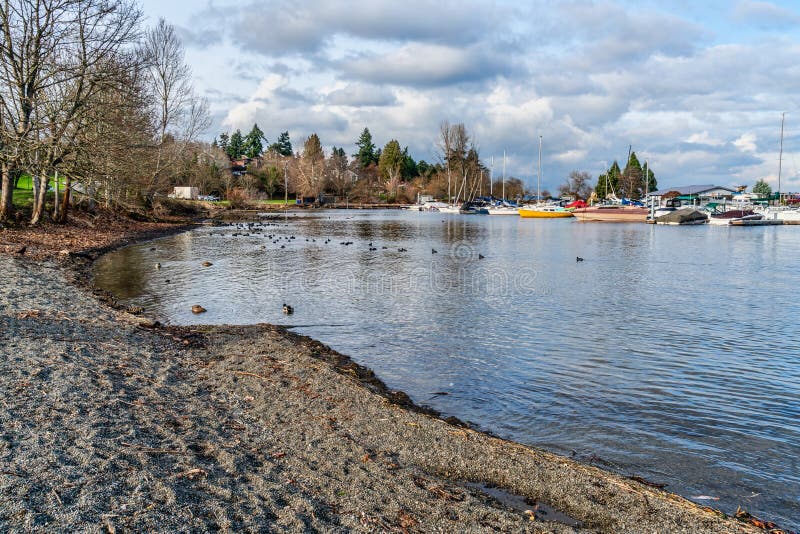 Seattle Lake Marina 2 stock image. Image of nature, water - 307436633