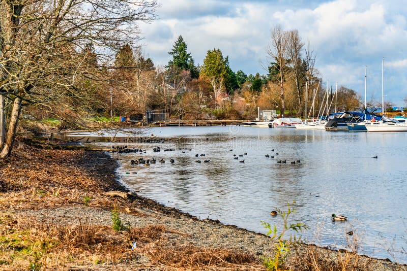 Seattle Lake Marina 6 stock photo. Image of travel, state - 307436676