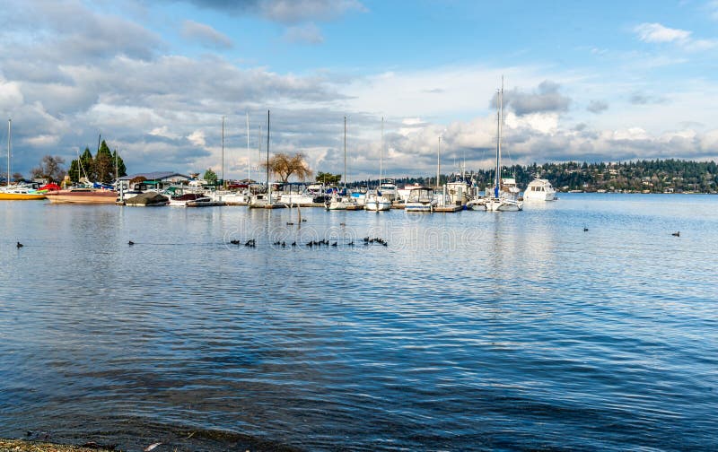 Seattle Lake Marina editorial photo. Image of marina - 307436891