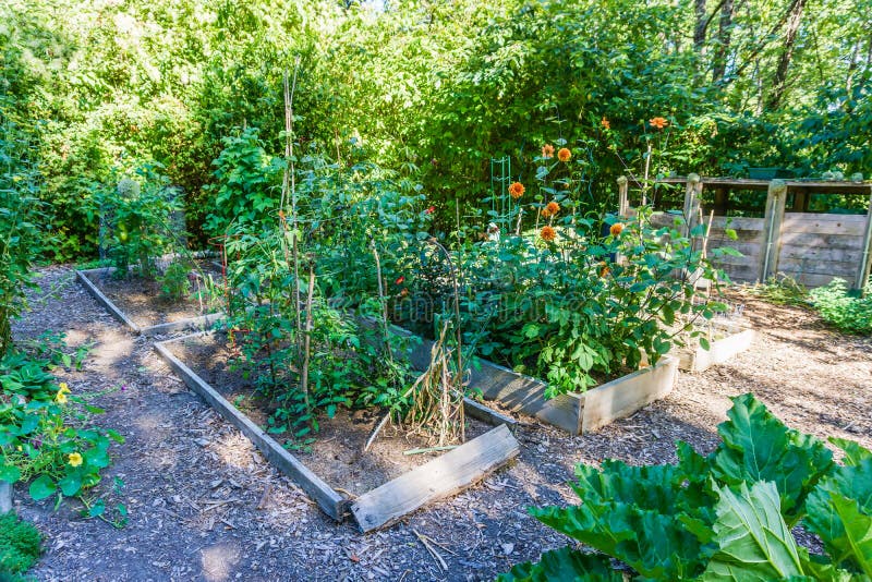 Seattle Pea Patch Garden 8 stock image. Image of washington - 257833049