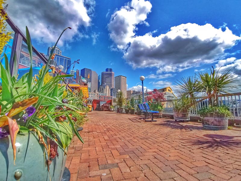 Seattle Pier 59 editorial photography. Image of sculpture - 73085712