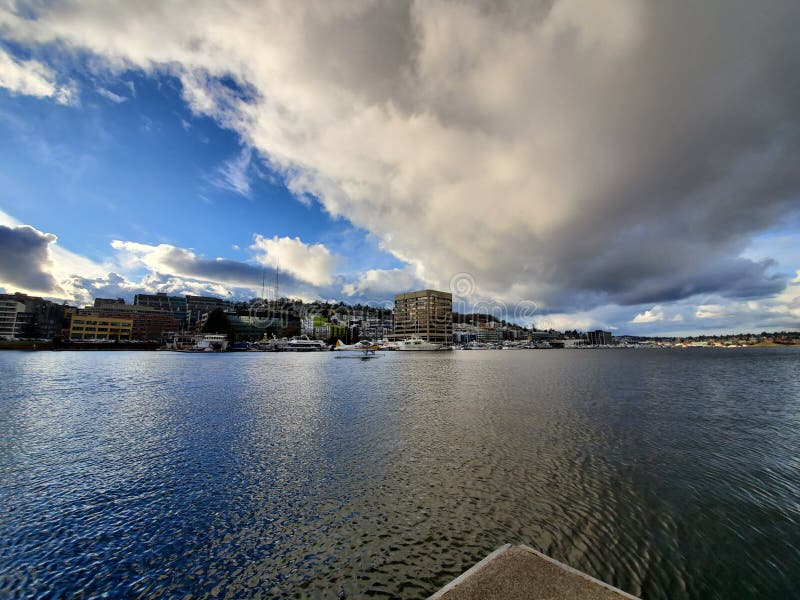 Office Slu Tvideos Stock Photos - Free & Royalty-Free Stock Photos from ...