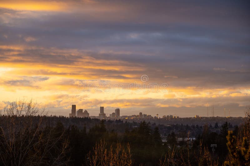 Seattle Skyline stock image. Image of downtown, financial - 222733987