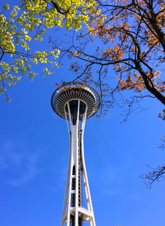 Spring in Seattle. editorial stock photo. Image of tree - 19371478