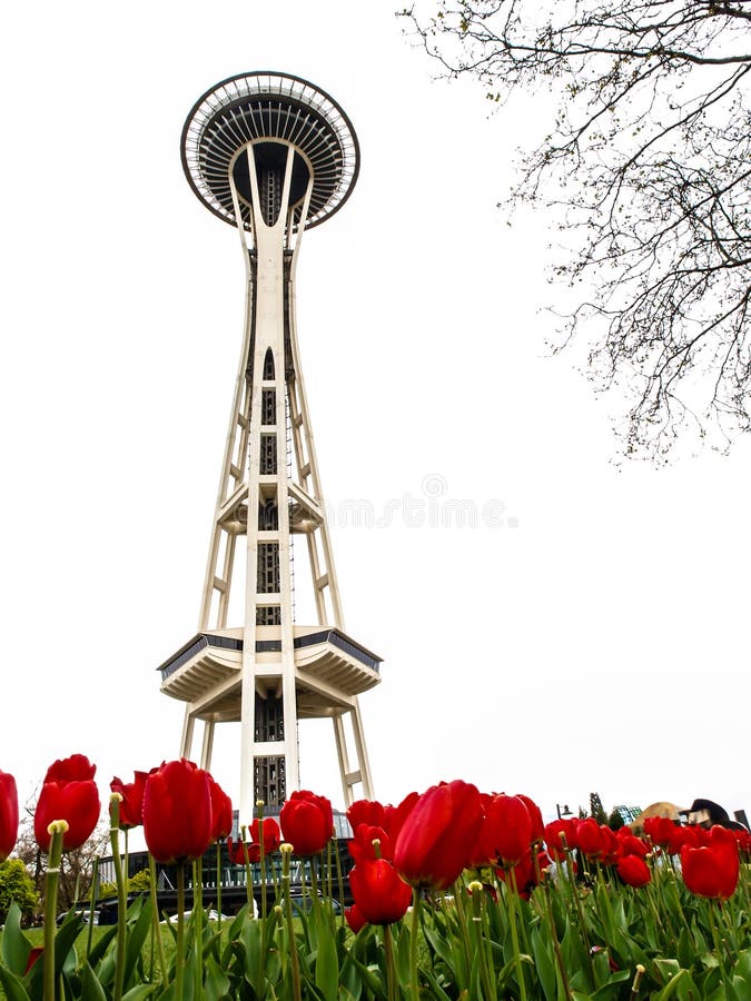 Seattle Space Needle with Tulips Editorial Photography - Image of ...