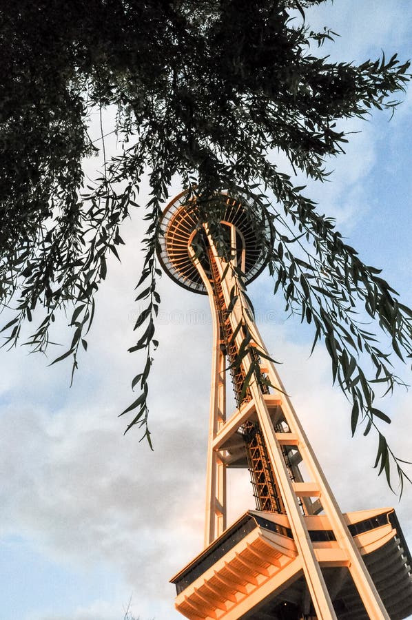 Seattle Space Needle Under Tree at Dusk Editorial Image - Image of ...