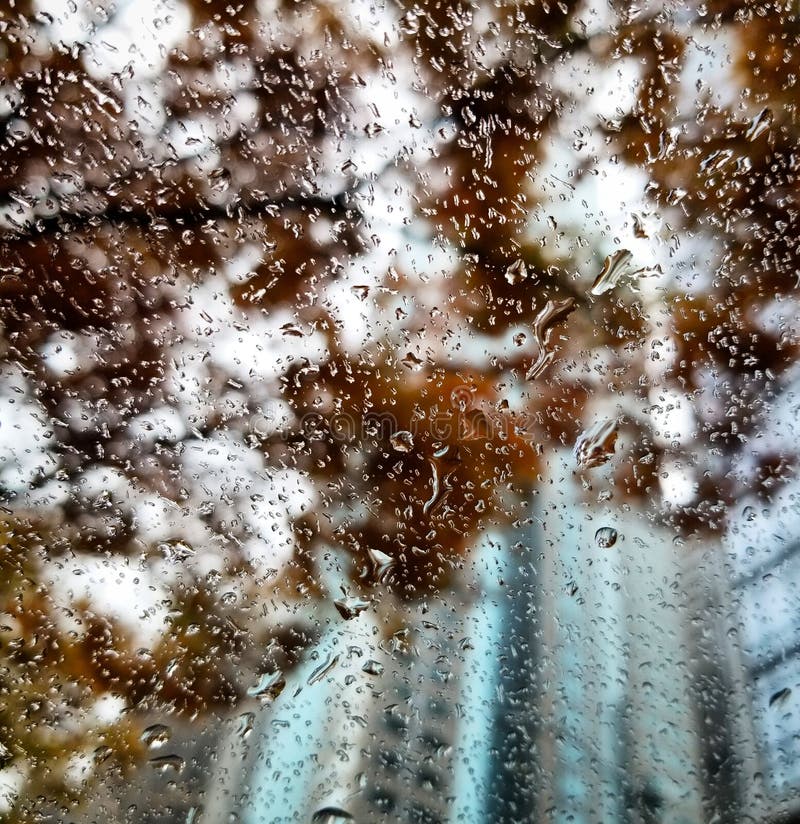 Seattle in spring stock image. Image of weather, circle - 163448295