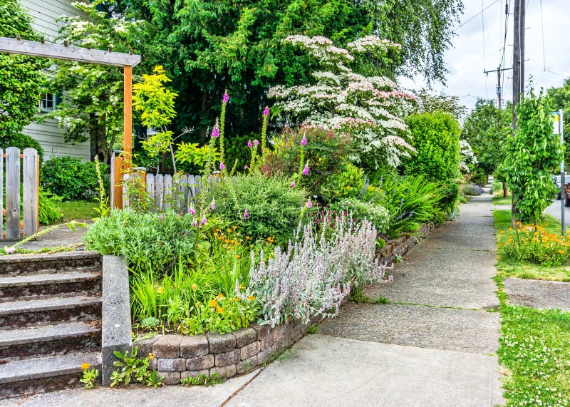 Seattle Street Flower Garden 3 Stock Photo - Image of blooming, nature ...