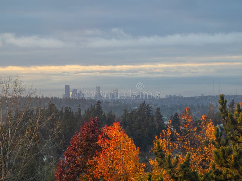 Seattle Sunset Skyline stock image. Image of mountain - 214169291