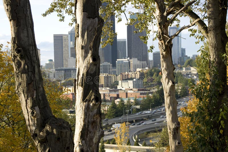 Seattle stock image. Image of environment, green, planing - 30385959