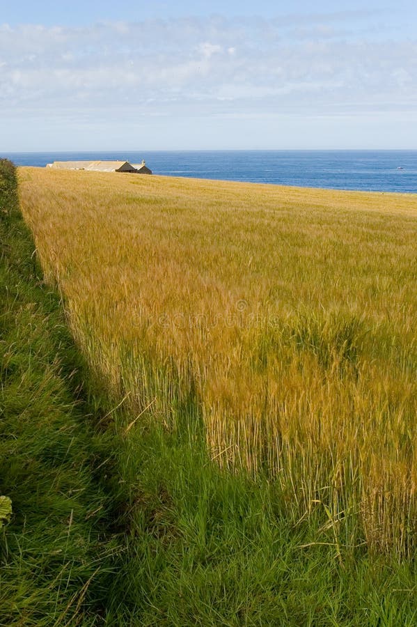 Seaview at Scourie Bay stock image. Image of stone, horizon - 555069