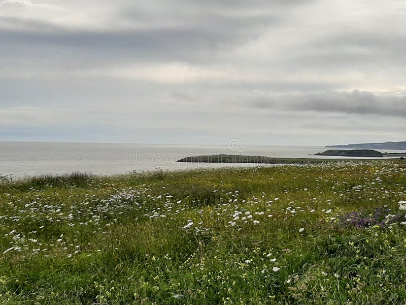 Seaview Skyline Meadow Lighthouse Overcast Stock Image - Image of ocean ...