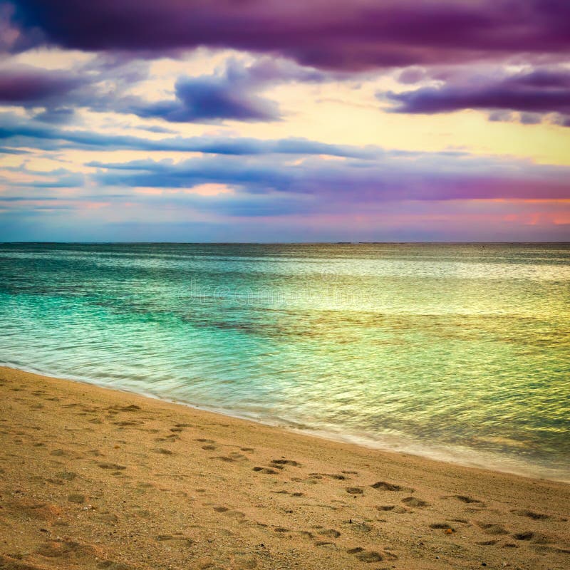 Seaview at Sunset. Amazing Landscape. Beautiful Beach Panorama Stock ... Seaview at Sunset. Amazing Landscape. Beautiful Beach Panorama Stock ...