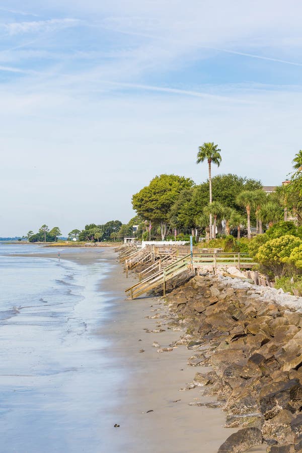 Seawall and Palm Tree on Beach Stock Photo - Image of solid, seawall ...