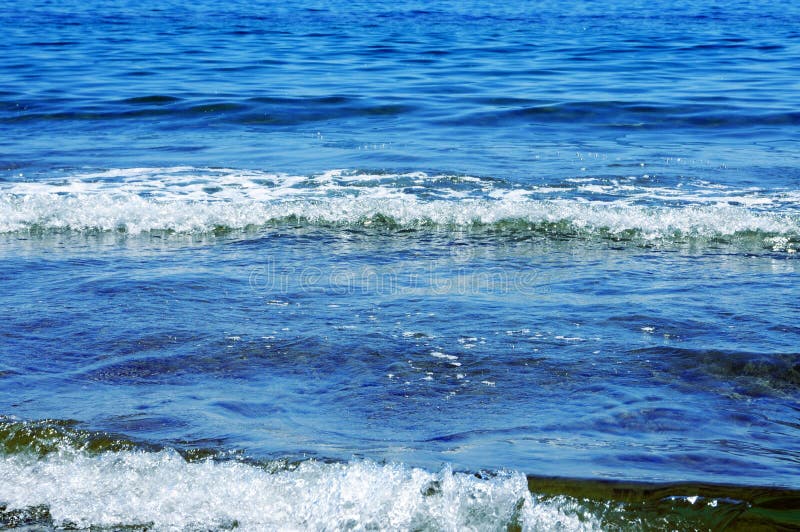 Seawater stock image. Image of seabed, freedom, ocean - 14121391