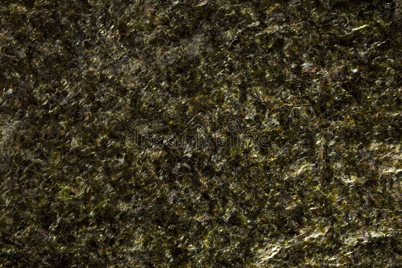 Seaweed background texture stock image. Image of wrapper - 40330673