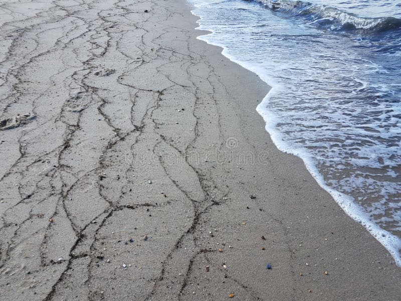 Seaweed on the Beach with Sand and Water Stock Image - Image of coast ...