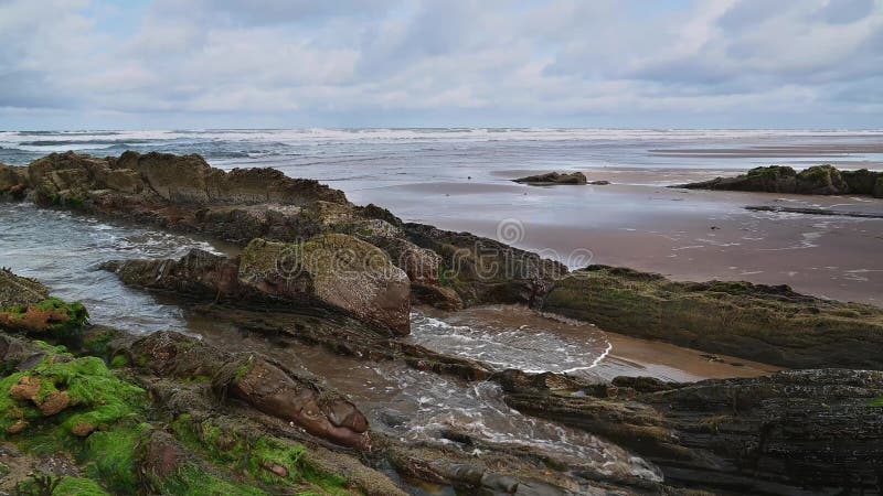 Seaweed Covered Rocks on Northcott Mouth Beach Stock Video - Video of ...