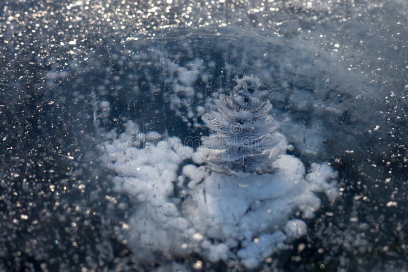 Seaweed Frozen Inside the Ice Stock Image - Image of transparent ...