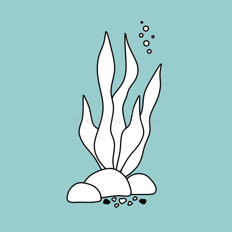 Seaweed Hand Drawn Black and White Vector Illustration. Linear Algae ...