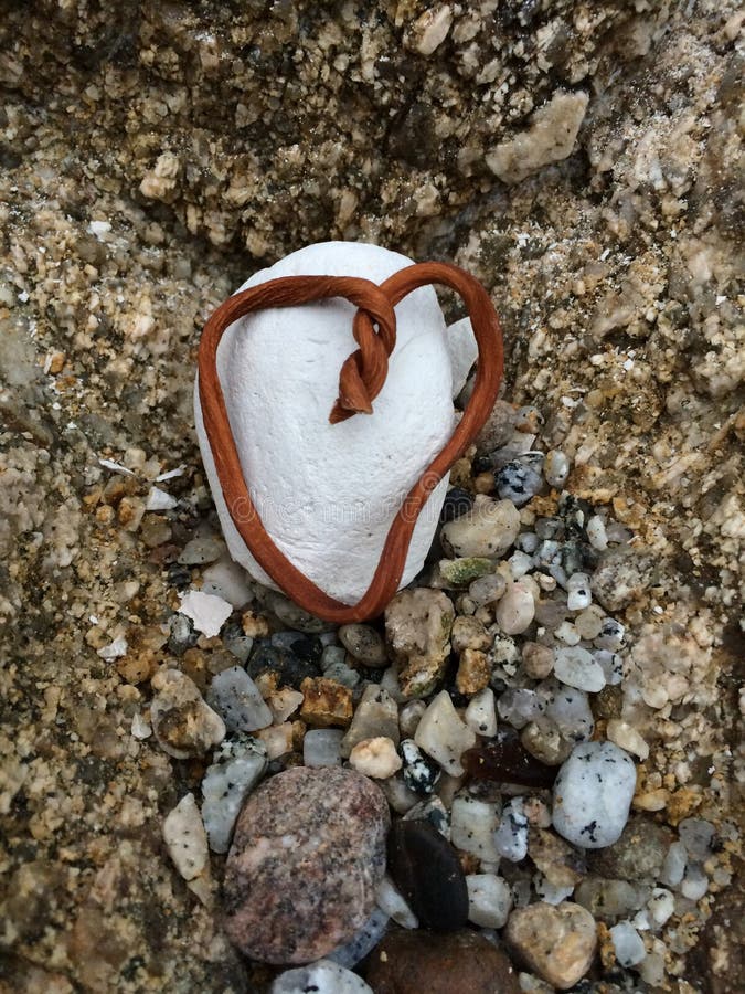 Seaweed Heart at the beach stock photo. Image of white - 44181800