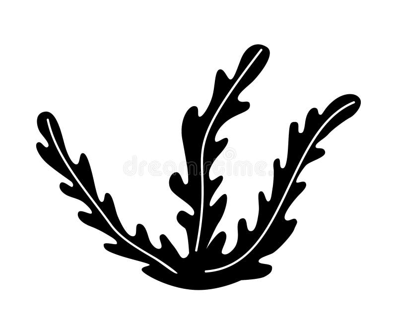 Seaweed icon black outline stock vector. Illustration of marine - 216718197