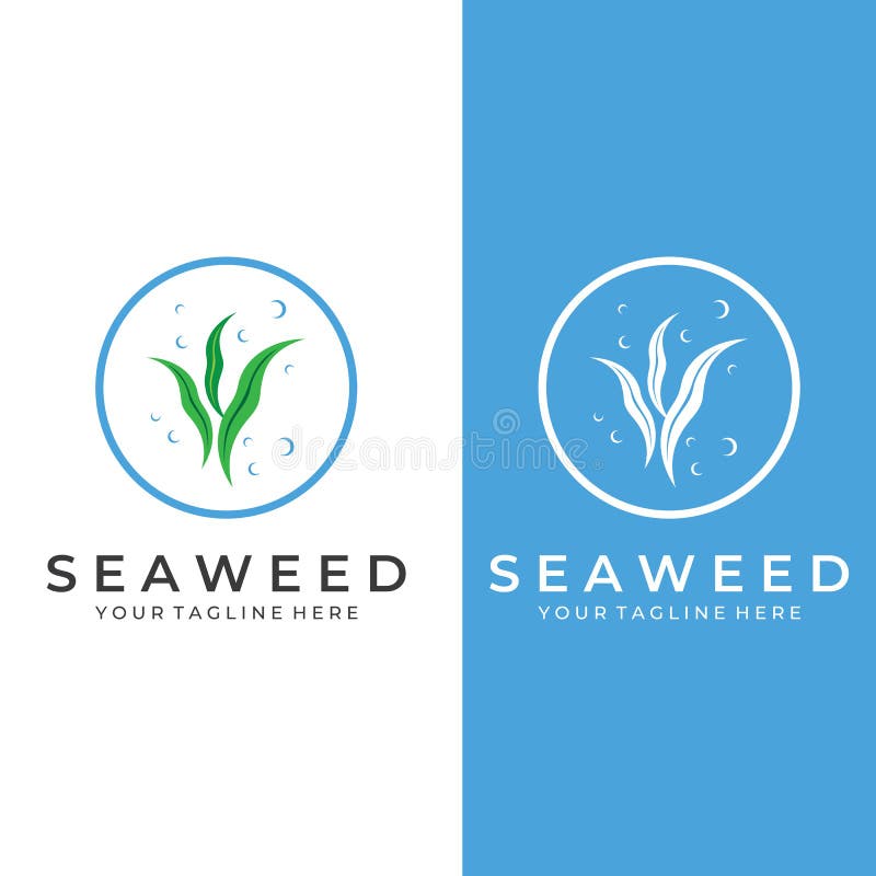 Seaweed Logo with Template Illustration Vector Design Stock Vector ...