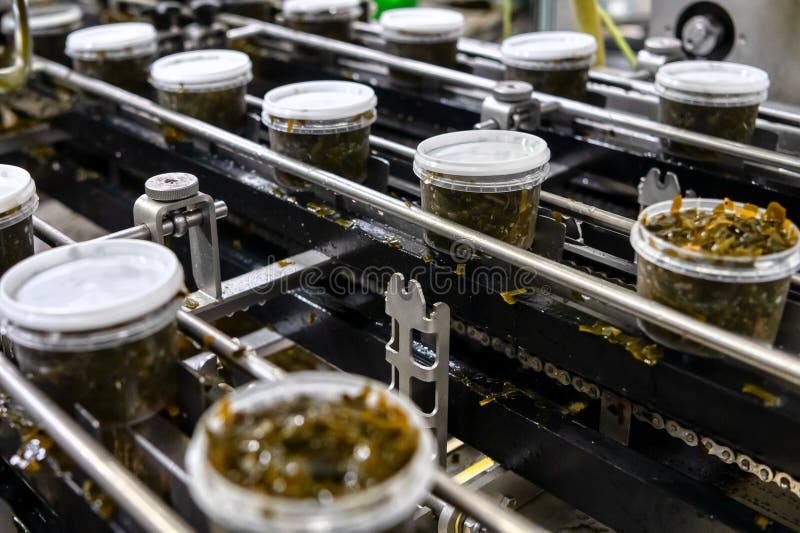 Automatic Line for Packing Seafood. Stacking Seaweed and Pouring Brine ...