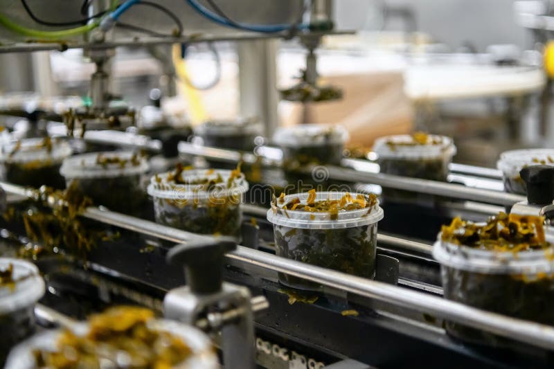 Automatic Line for Packing Seafood. Stacking Seaweed and Pouring Brine ...