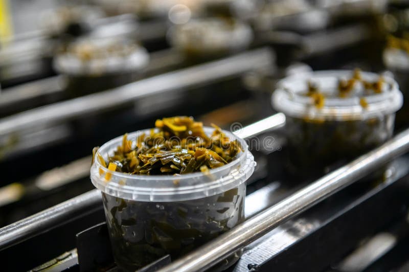 Automatic Line for Packing Seafood. Stacking Seaweed and Pouring Brine ...