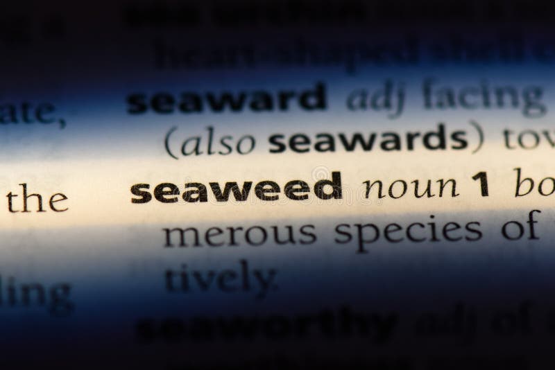 Seaweed stock photo. Image of printed, idea, book, macro - 126617564