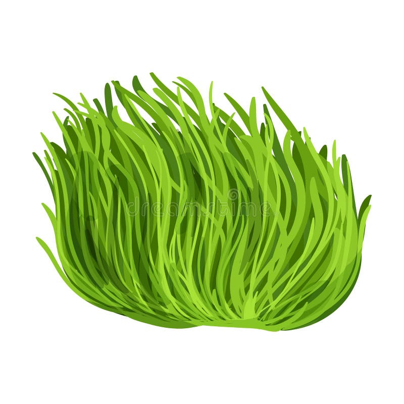 Seaweed Vector Icon.Cartoon Vector Icon Isolated on White Background ...