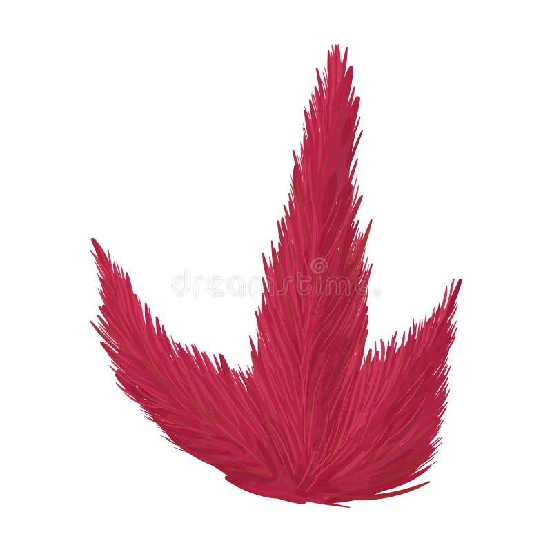 Seaweed Vector Icon.Cartoon Vector Icon Isolated on White Background ...