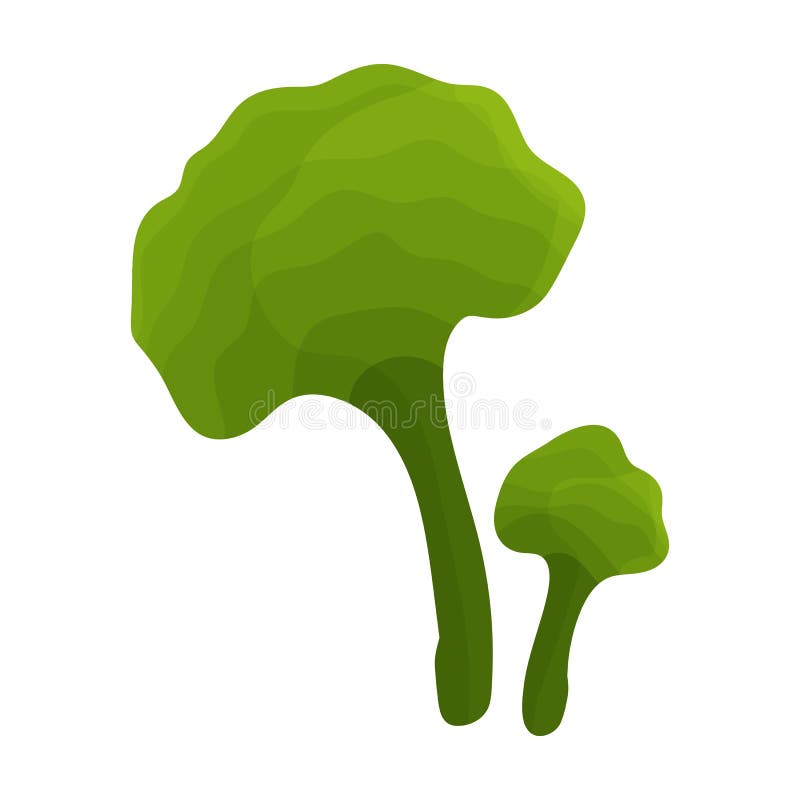 Seaweed Vector Icon.Cartoon Vector Icon Isolated on White Background ...